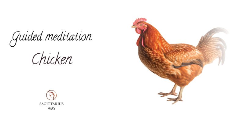 Chicken Guided Meditation: Scratch The Surface Of Your Emotions ...