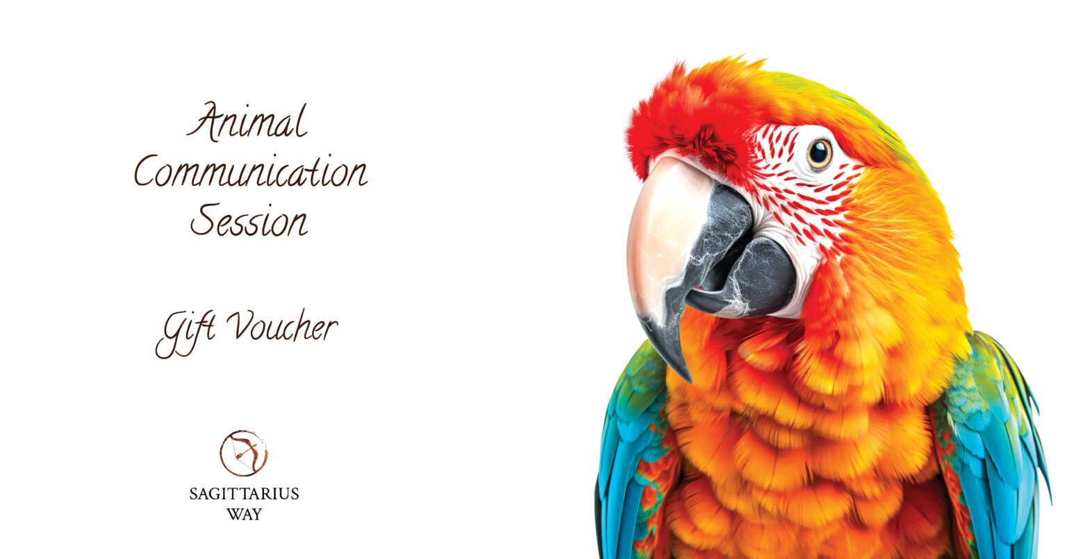 Animal Communication Session Gift Voucher - Sagittarius Way