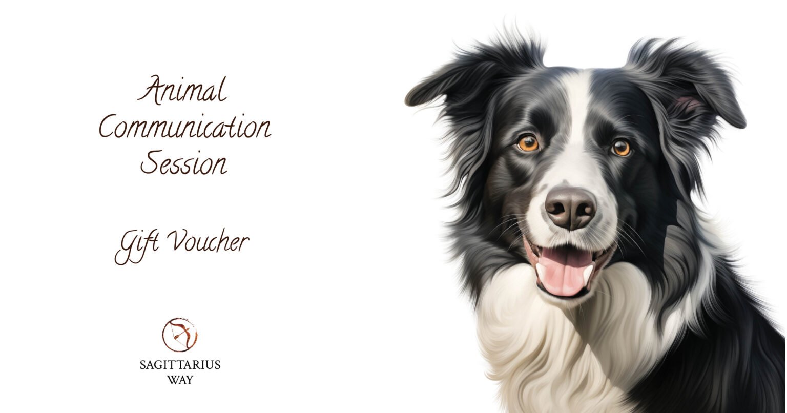 Dog Communication Session Gift Voucher - Sagittarius Way